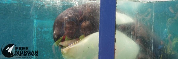 Free Morgan Foundation