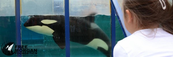 Free Morgan Foundation