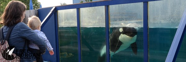 Free Morgan Foundation