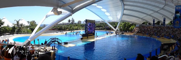 Free Morgan Foundation