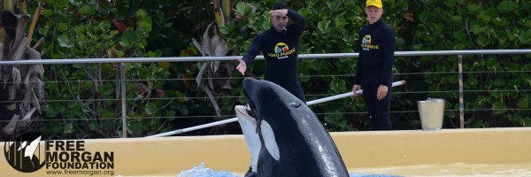 Free Morgan Foundation