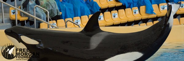 Free Morgan Foundation